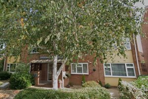 Search properties - Home Choice Plus